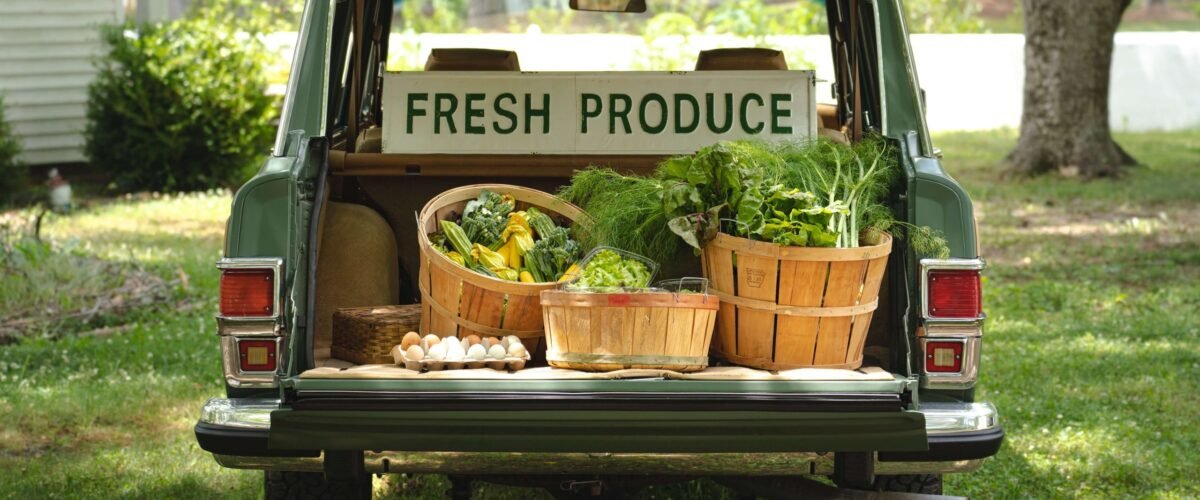 How To Safely Transport Vegetables? – enfakatalog.com